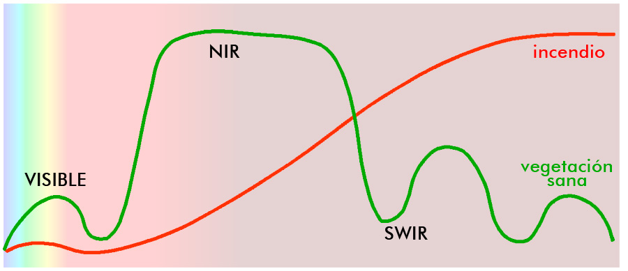 Análisis de severidad de incendios con índice NBR - Gis&Beers