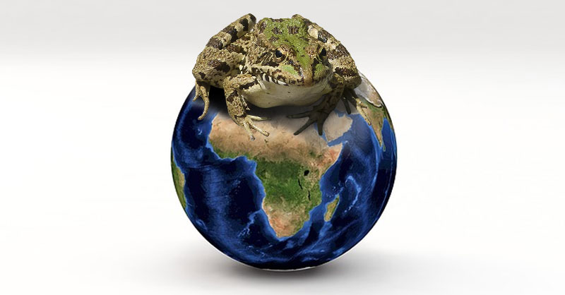 Cartografía de distribución de anfibios y reptiles - Gis&Beers