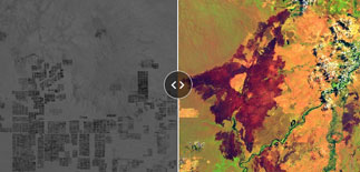 incendio del amazonas Archivos - Gis&Beers