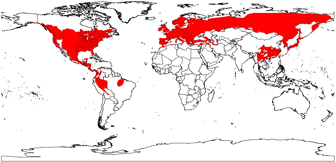 Cómo elaborar mapas de riqueza de especies - Gis&Beers