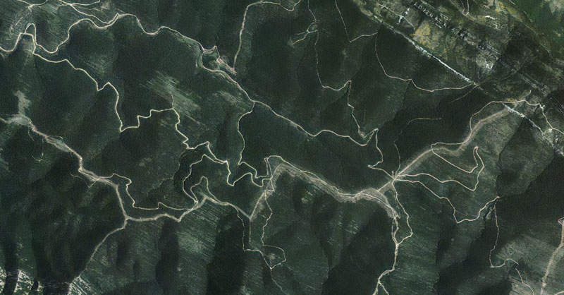 Planificación de caminos forestales en QGIS con Forest Roads Network ...