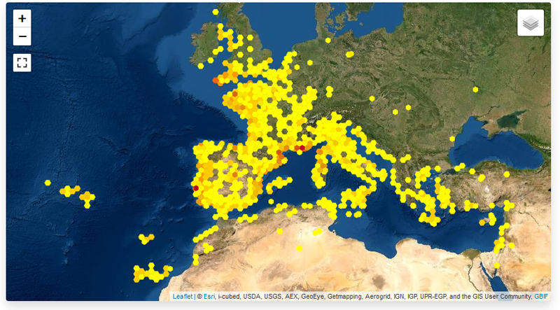 Pl@ntNet: mapas de distribución de flora por ciencia ciudadana - Gis&Beers